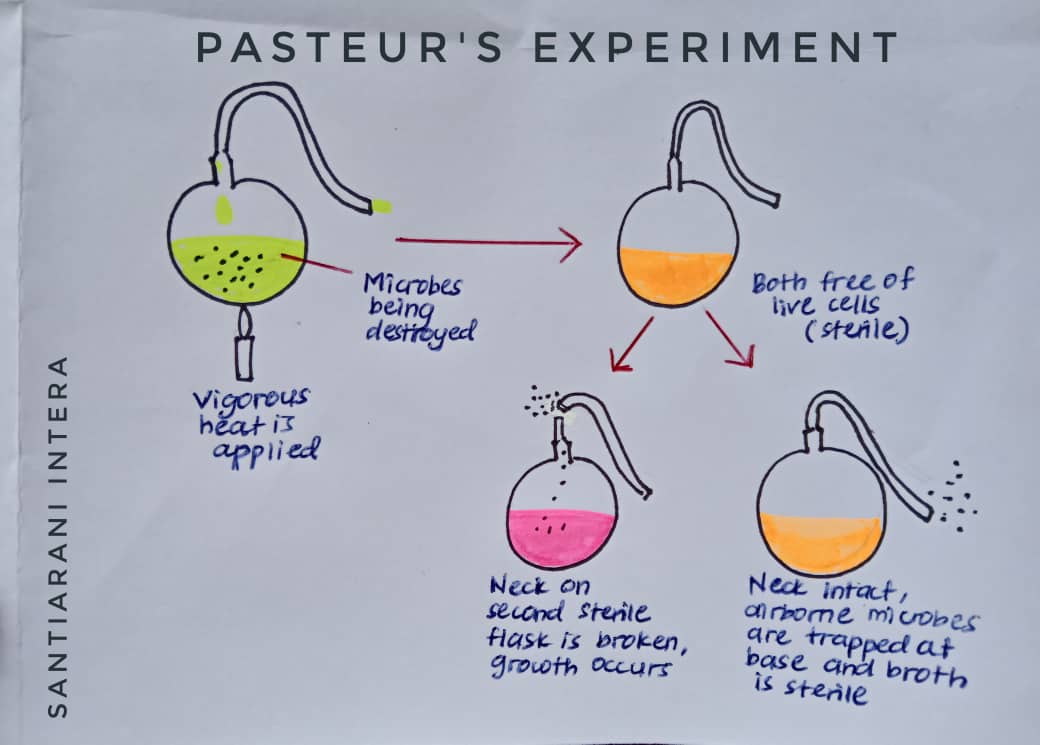 Intensification of Microbiology and Alleviation of Irrationality.
