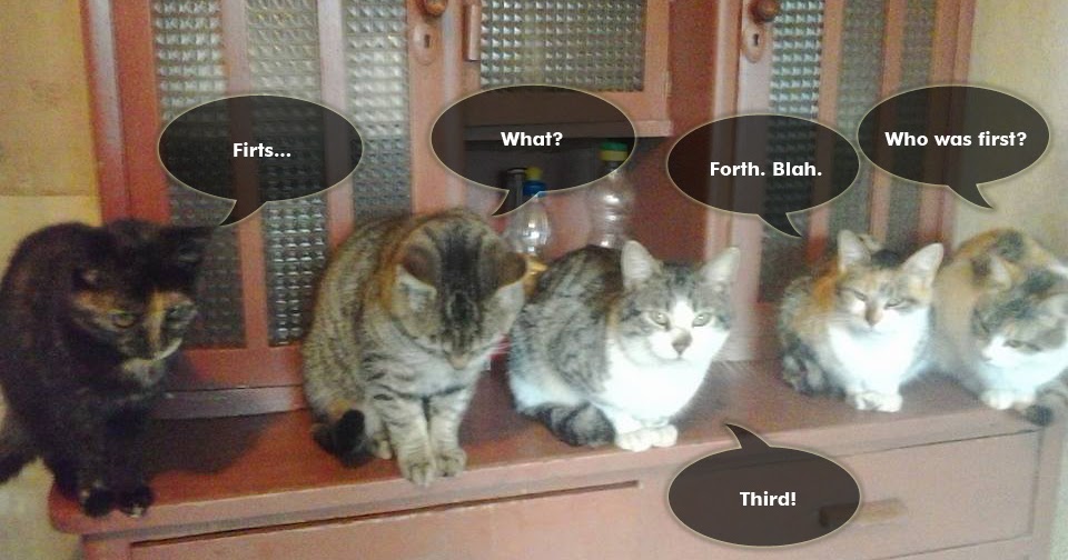 The Cats World | By Ogo Bob: Five Cats Counting