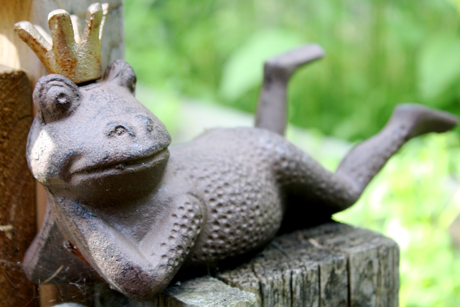 Petra & gänget: Trädgårdsgrodor