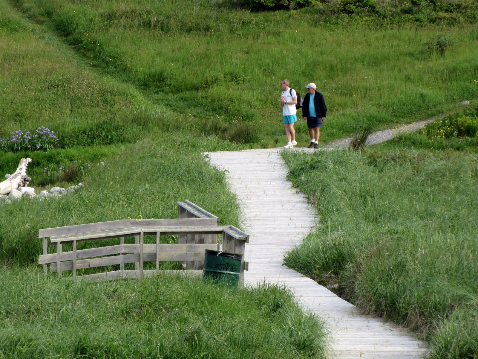 Trails of Halifax Regional Municipality: Short Summer Coastal Walk ...