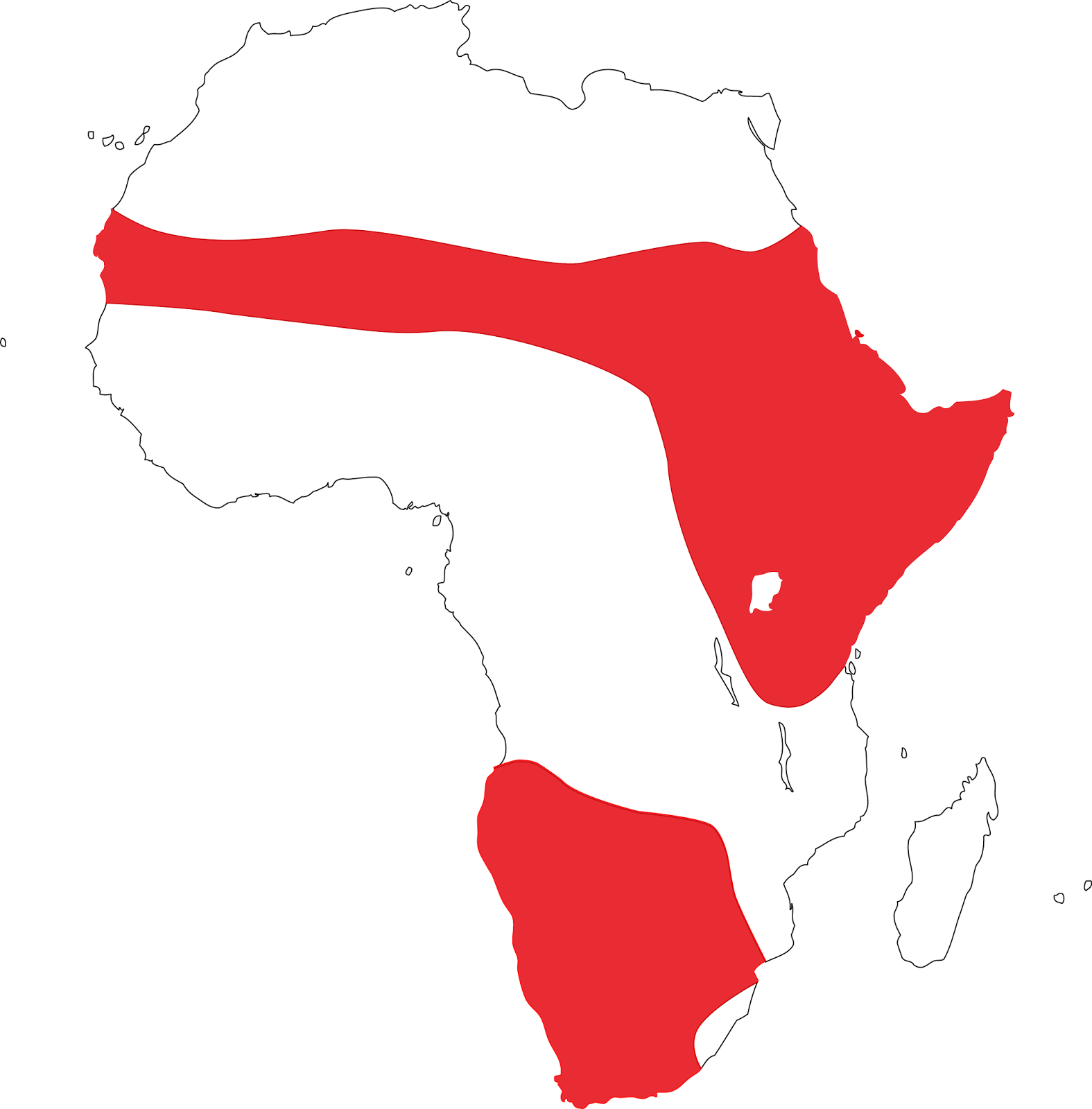 Ateliér prvoků / aktuální téma: TRŽNICE: Pštros dvouprstý