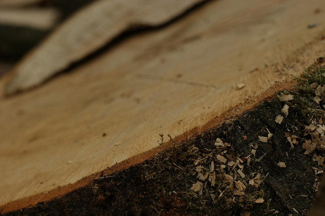 Rakentamalla vapaaksi - projektina unelmien talo alle 900€/m2: Tontin ...