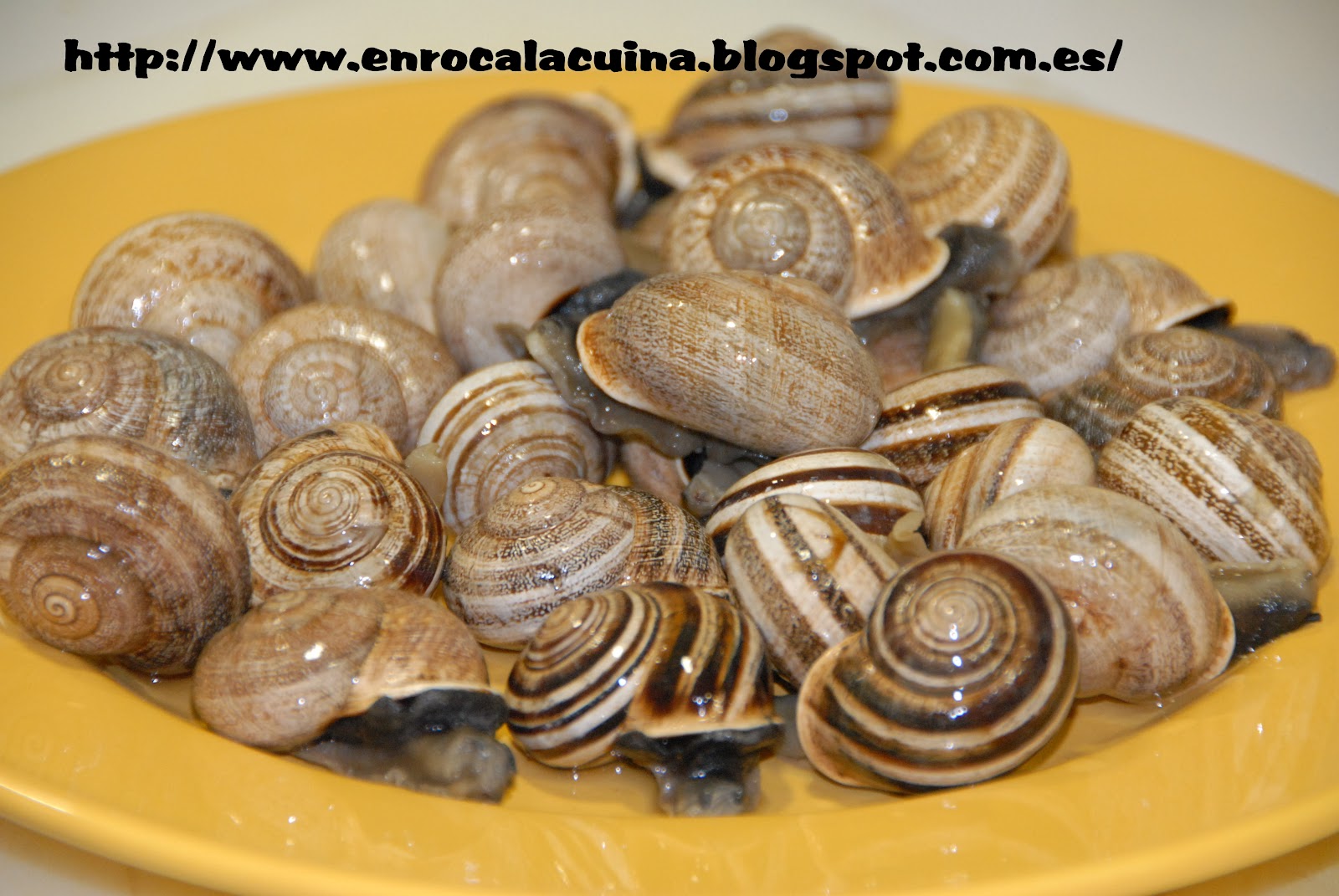 En Roc a la Cuina: Cargols a la llauna amb botifarra de pagès