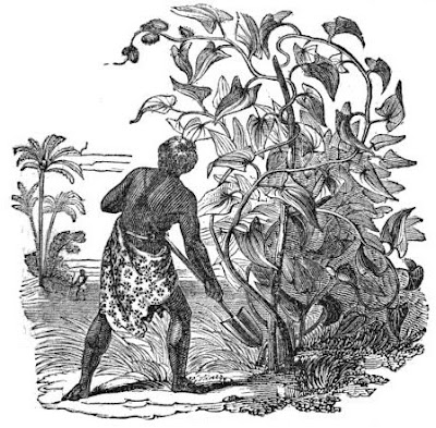 EL BLOG DE CEE, una lectora: Todo se desmorona, Chinua Achebe