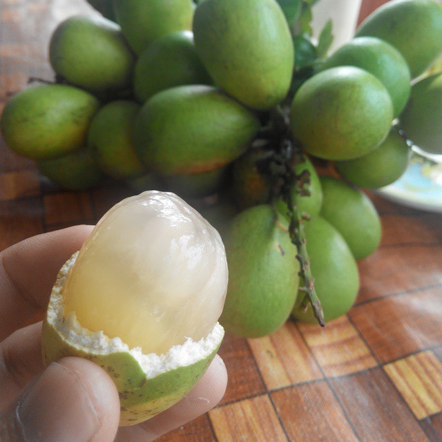 Health Benefits of Matoa Fruit for Beauty and your body - VegetaFruit