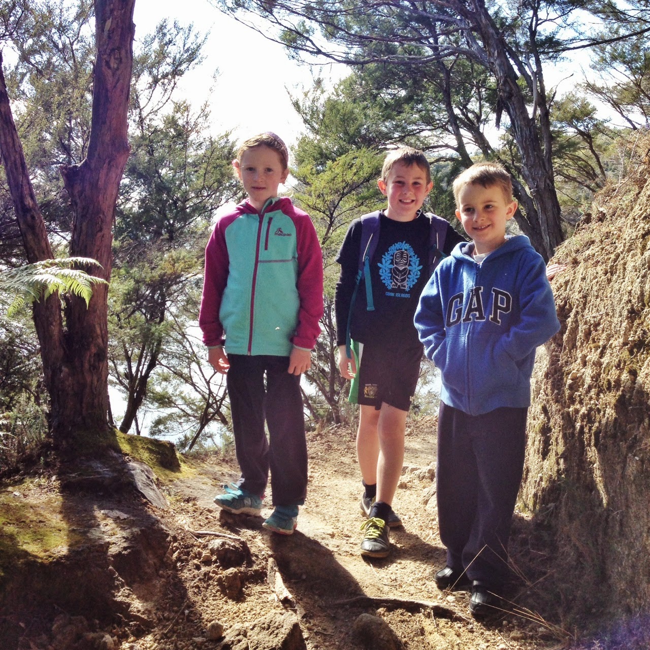 Golden sand underfoot {a family walk and cruise in the Abel Tasman ...