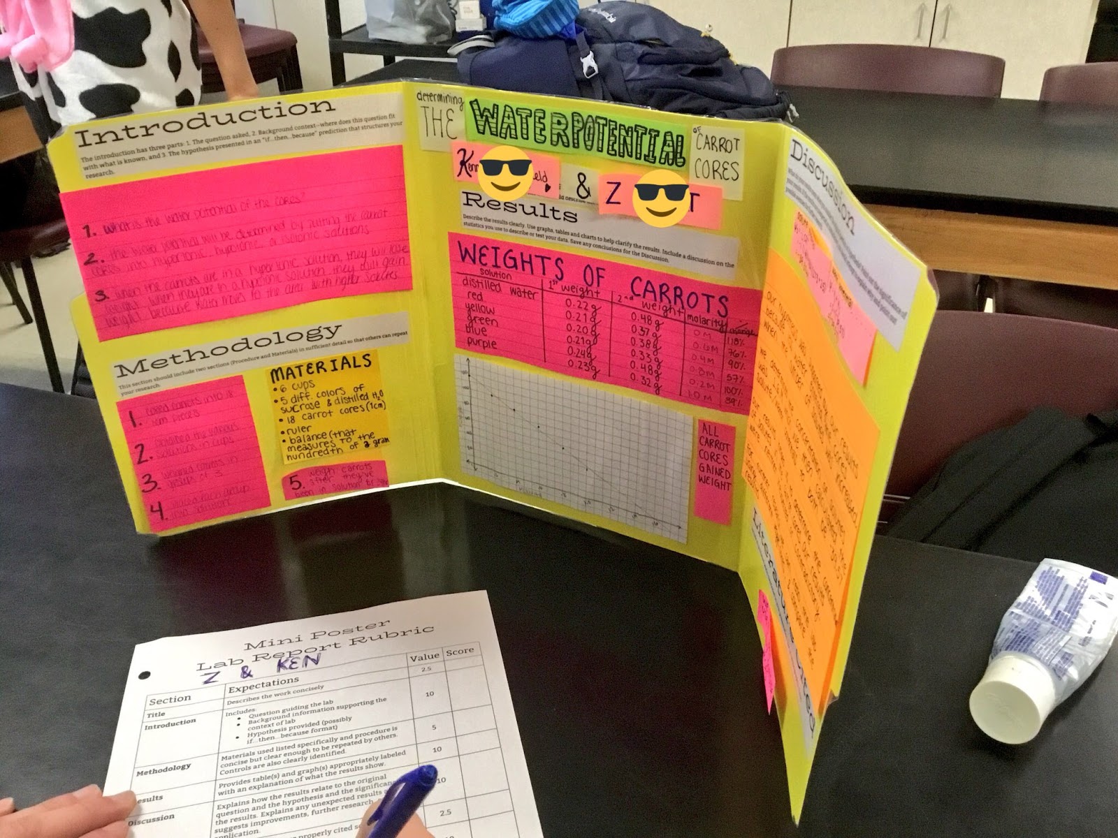 Biology by the Math Mom: Mini-Poster Presentations