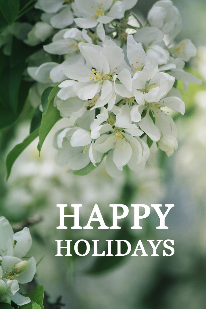 Texture Twist: Happy Holidays | Life-n-Reflection