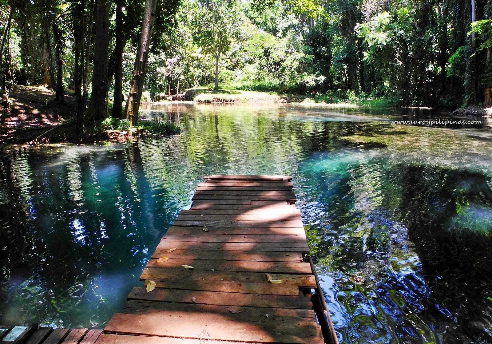 ADWONDERER: Nasuli Spring