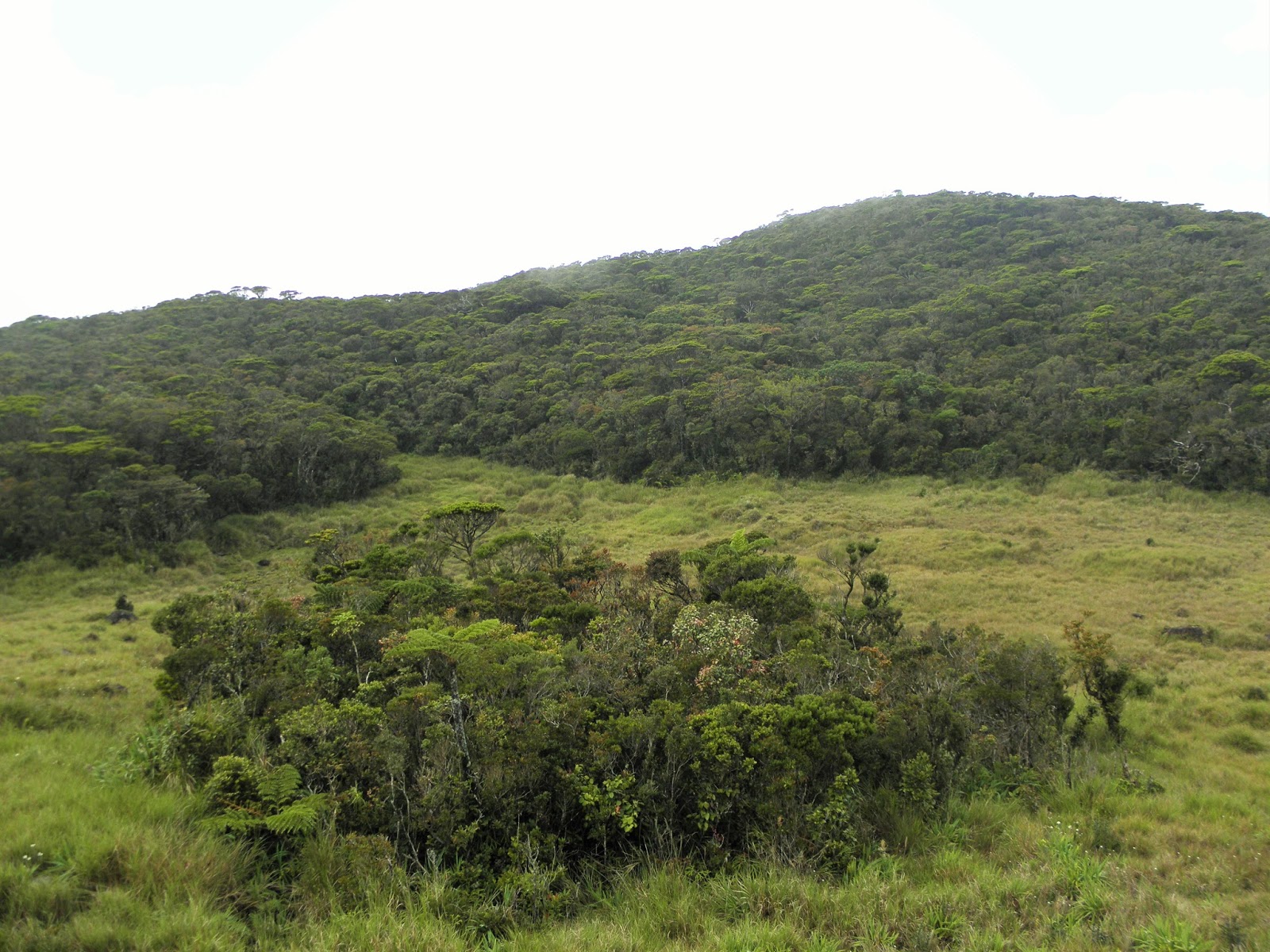 Hiking The Monkey Trails Of Mt. Tabayoc In Kabayan, Benguet