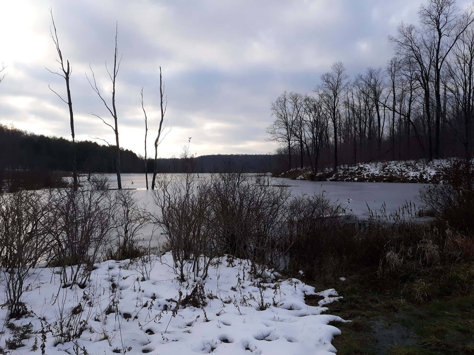 The "Getting Out There' Blog: Buzzard Swamp, Allegheny National Forest ...
