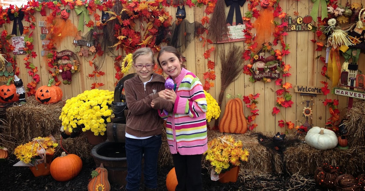 Solagratiamom: The State Fair - An Educational Experience