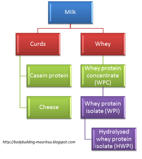 Whey protein types: Manufacture and nutritional analysis. By Vic ...