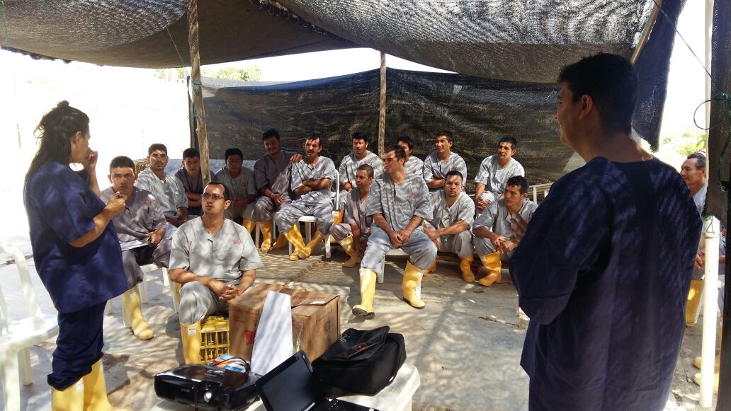 C: Proceso Avidesa Macpollo 2016