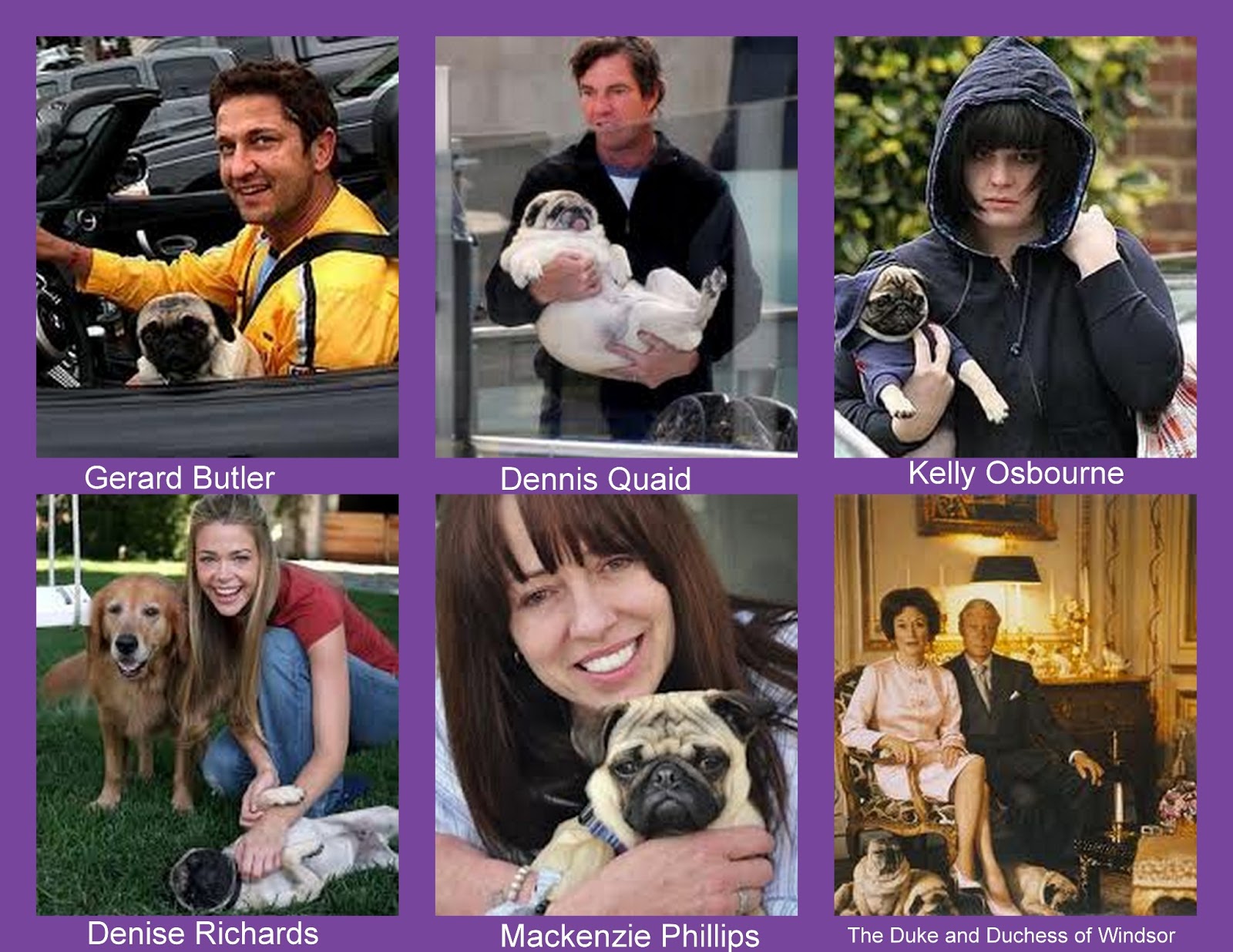 A Bowl of Noodles©: Famous Pug Owners Contest is in the Books!!!