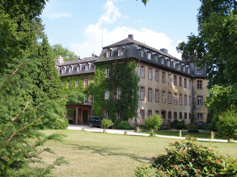 The Heirs of Europe: SOLMS-HOHENSOLMS-LICH