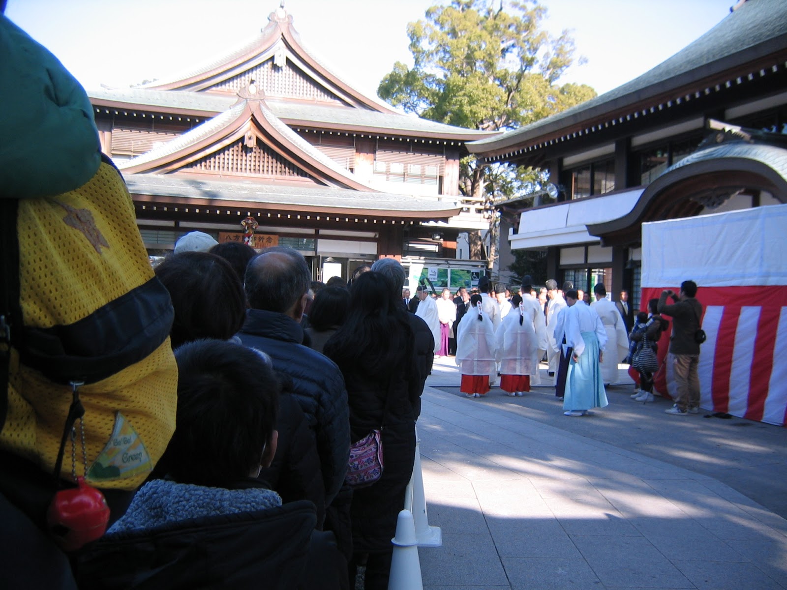 Adventure in Yokohama Citizen Forest: A Happy New Year from Japan: O ...