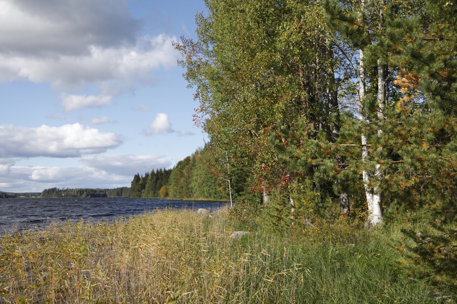Syyskuu - kuvia luonnosta / September - photos from nature