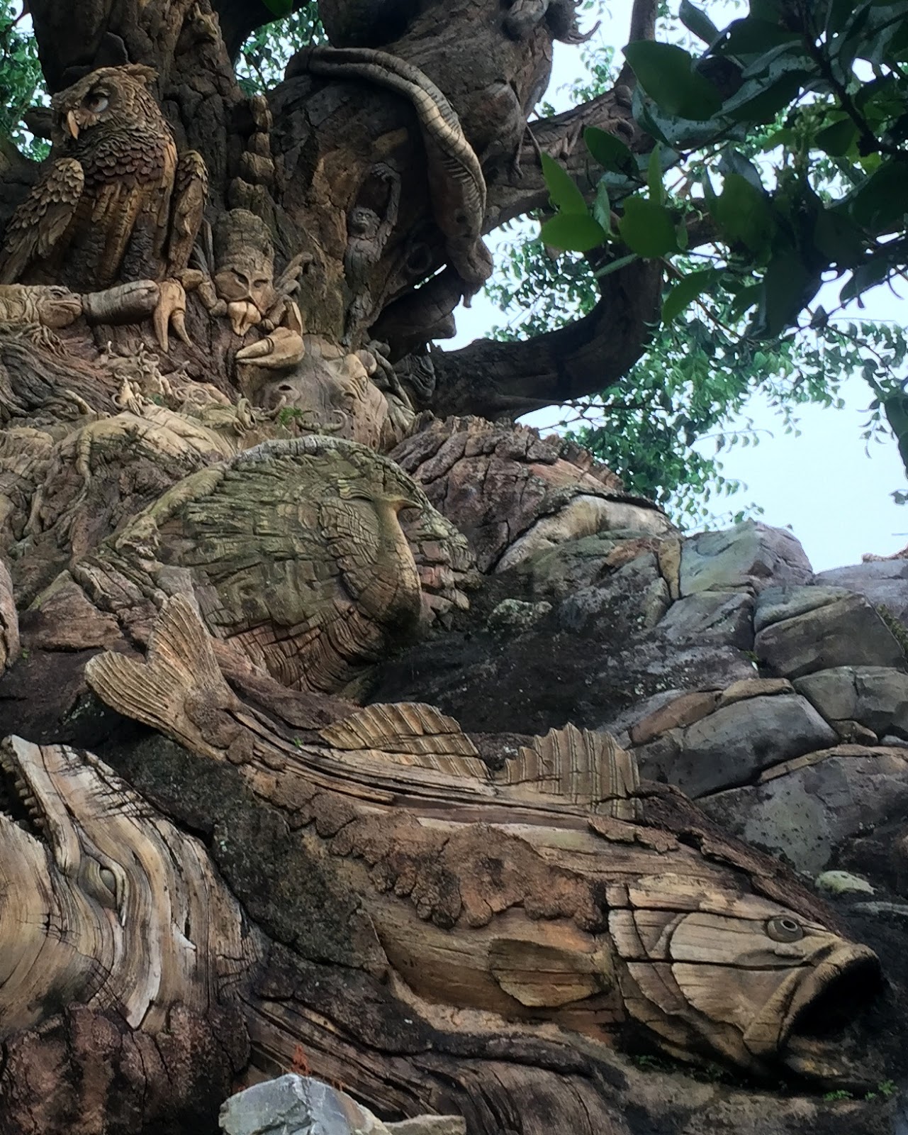 My Paisley World: All About Disney's Animal Kingdom Tree of Life