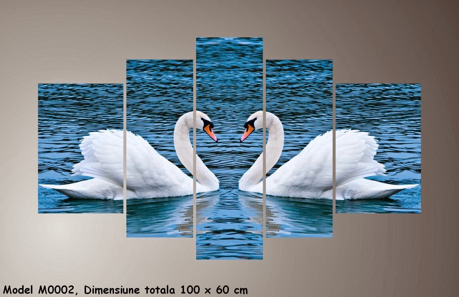 Tablouri Moderne Baia Mare: Tablouri moderne Dragomiresti