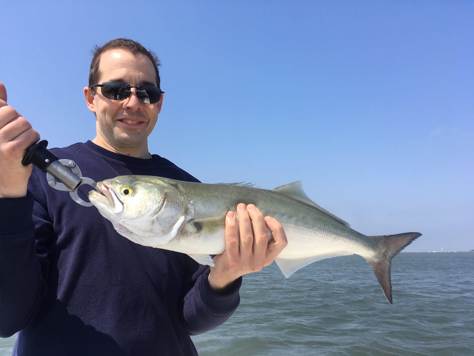 Jersey Cape Guide Service: More Bluefish Action