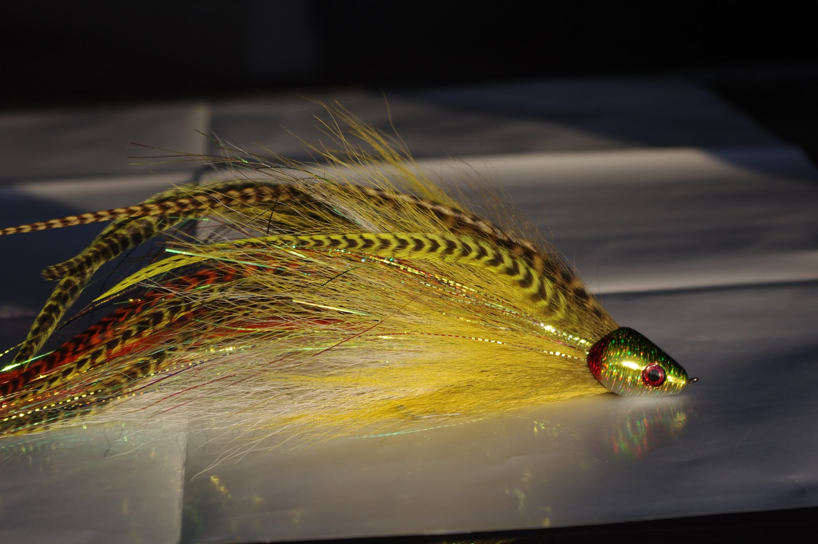 This River is Wild: Musky Fever