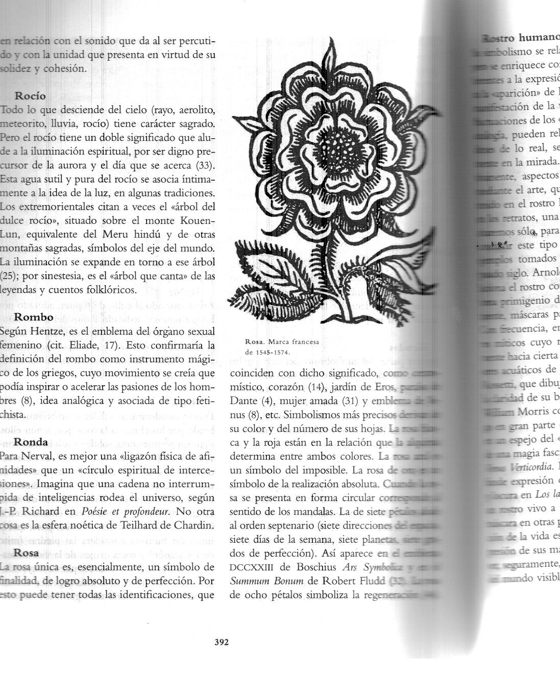 Frente de Terrorismo Poético: La Rosa