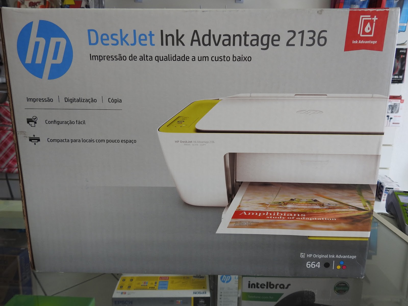 Eigatimaula! O diário dos pinheirenses na internet: SUMMER INFORMATICA