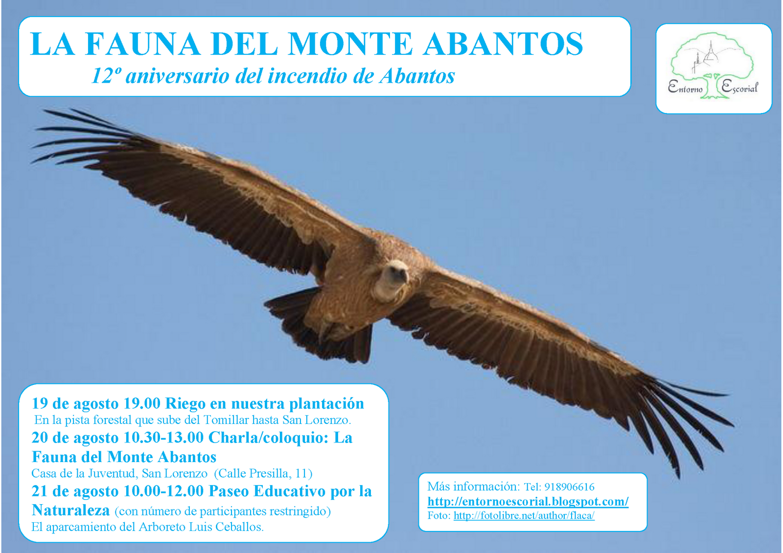 IMPRESIONES DESDE SIERRA NOROESTE DE MADRID: LA MARAVILLOSA FAUNA DEL ...