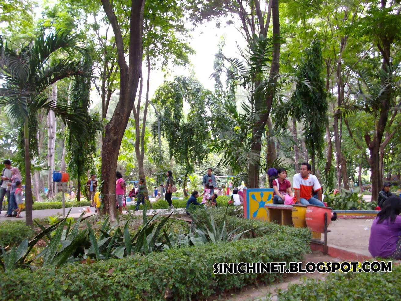 Taman Flora (Kebun Bibit) Bratang Surabaya | SINICHINET