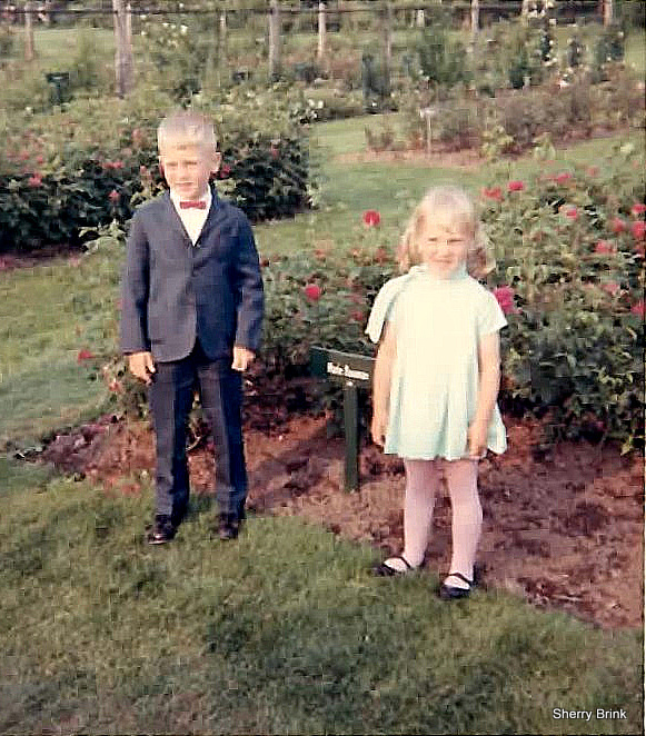 Sherry Brink's Family History - Free Memories: Baumann Photos