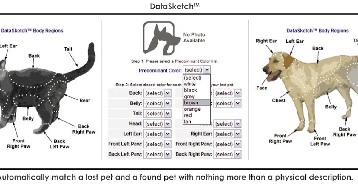 Paradigm InfoStream: WELFARE - Check Your Microchip: It may not be ...