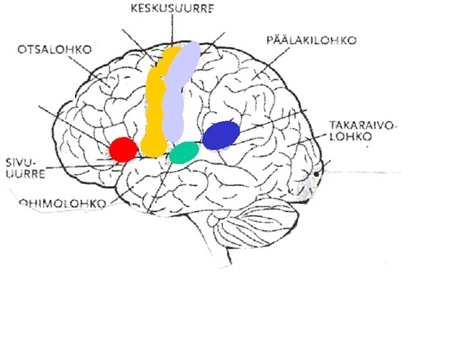 teknologiaa Viivin tapaan