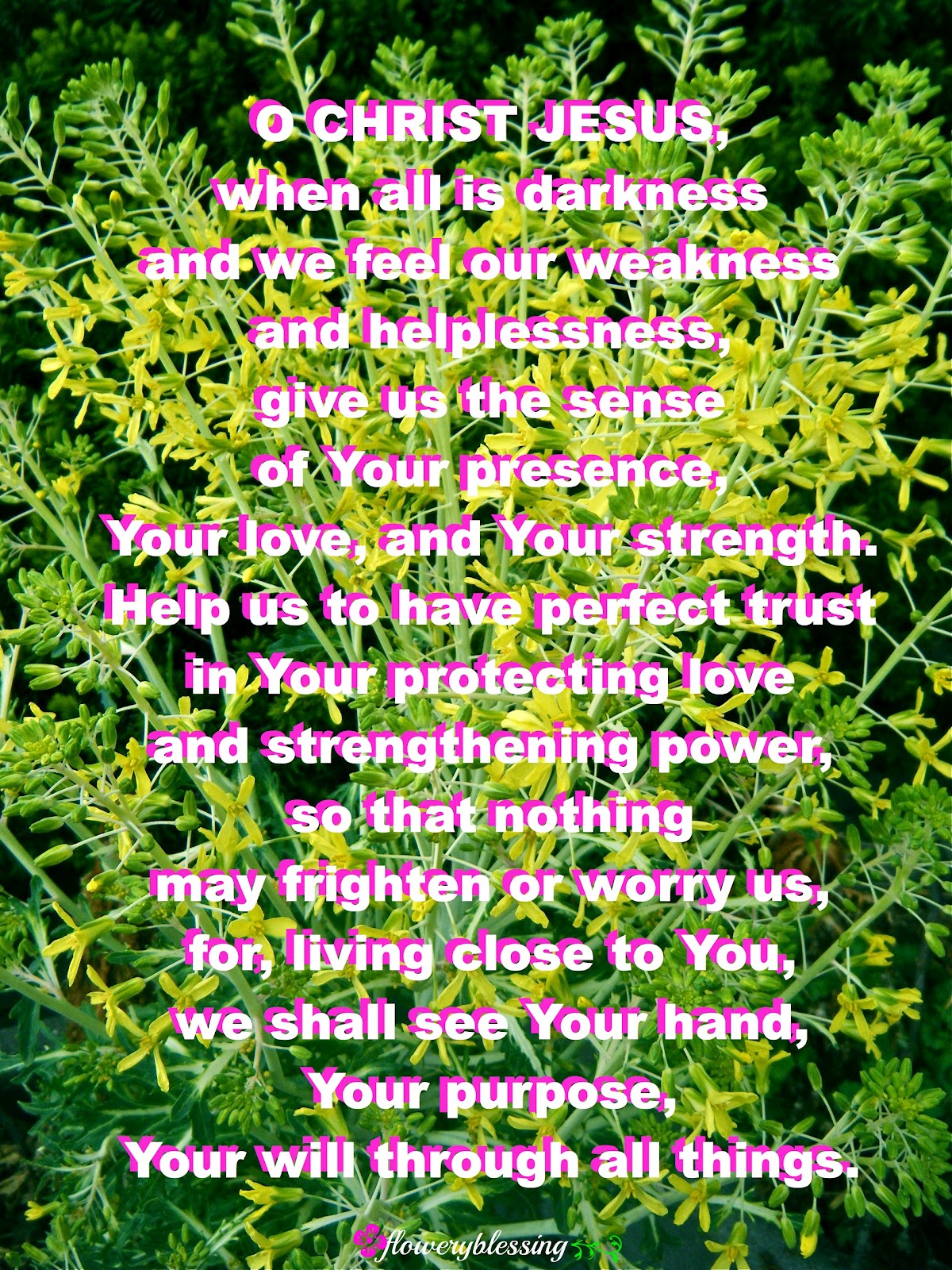 Flowery Blessing: O CHRIST JESUS, when all is darkness and we feel our ...