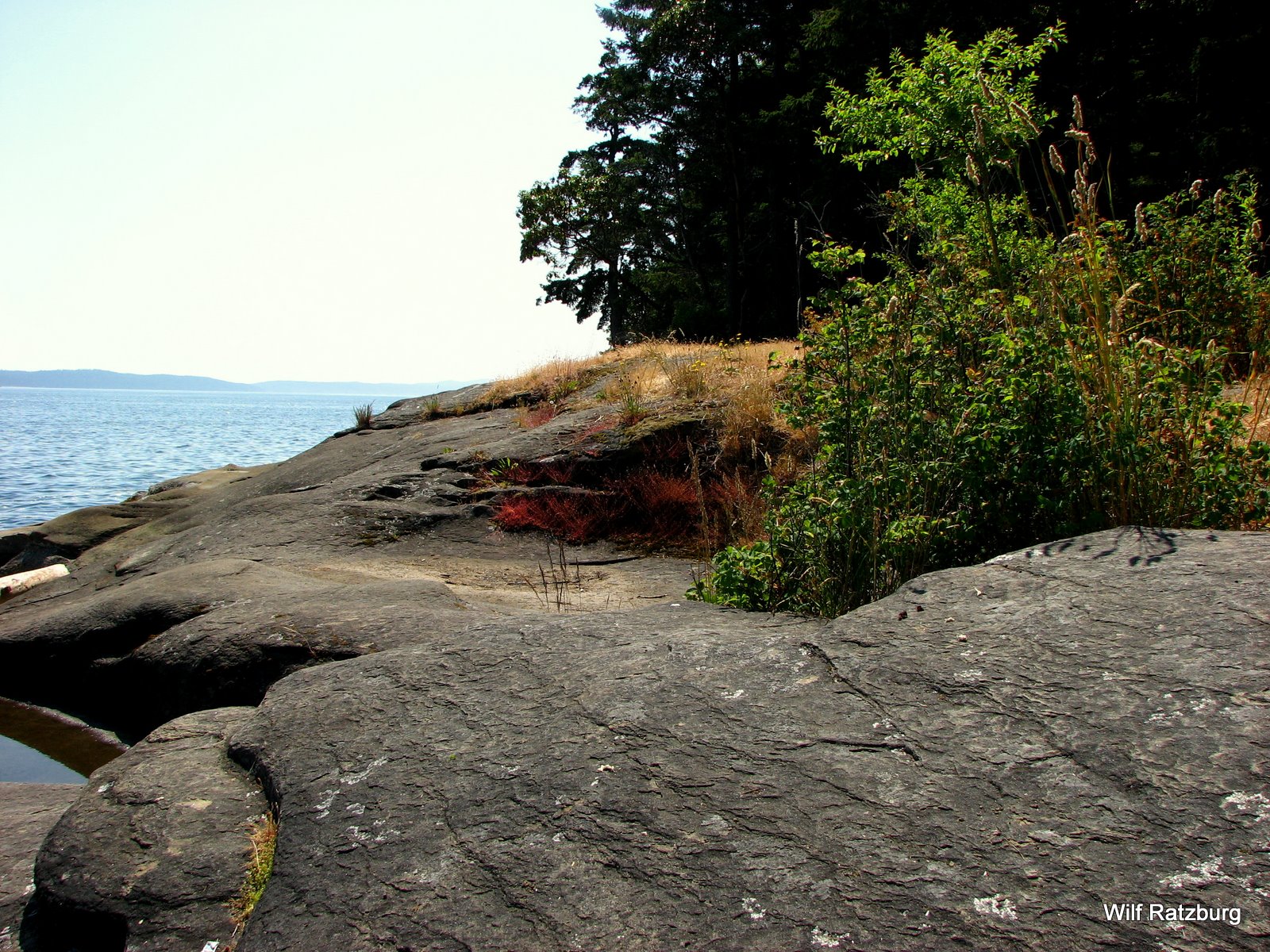 20+ Parks in Nanaimo: Roberts Memorial Provincial Park