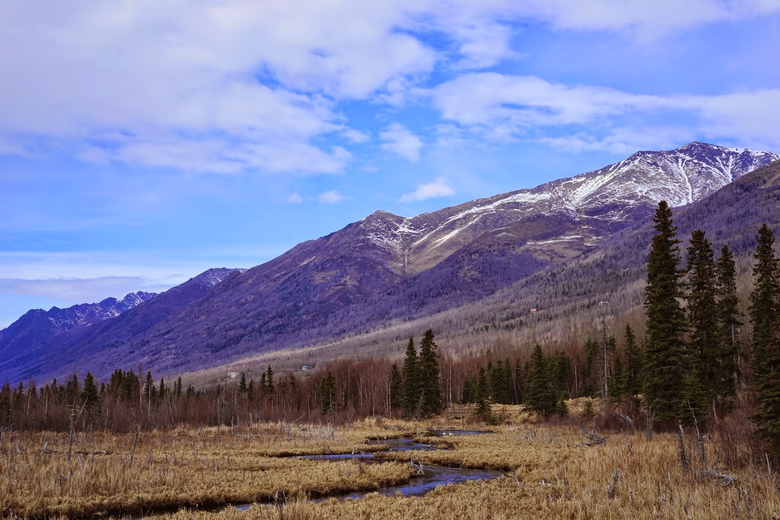 Lost But Loving It...In Alaska!: A Walk In the Woods
