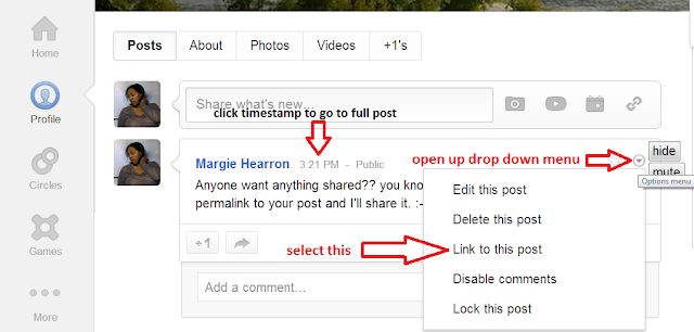 Oasis in the Stream: Grab the Permalink of a Google Plus Post
