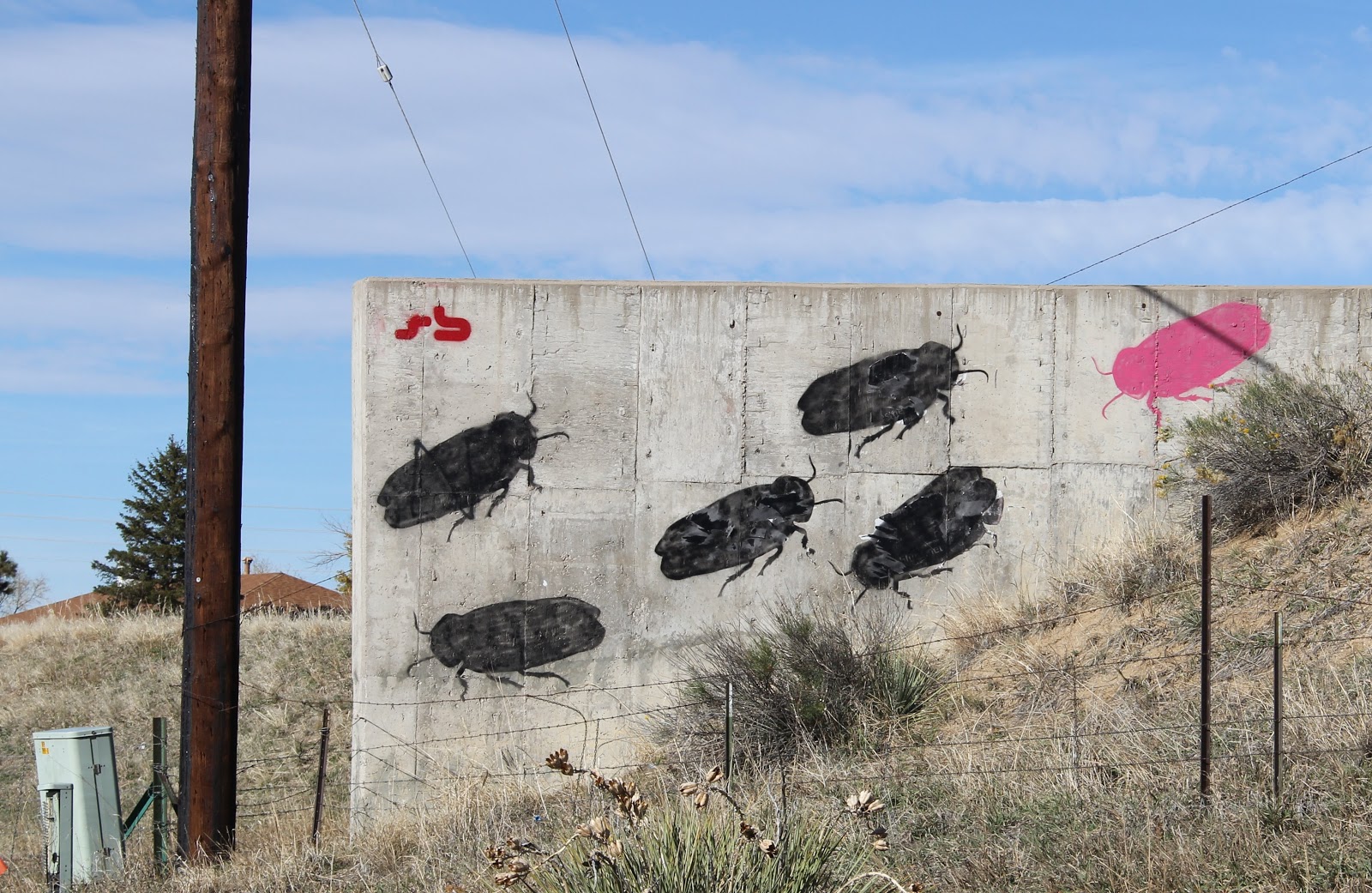 Bugs – Stephen Bodio