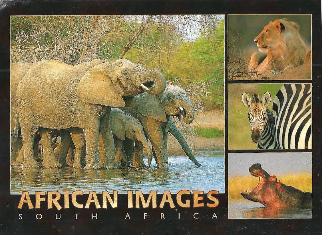 My collection of postcards: My first postcard from South Africa!:)