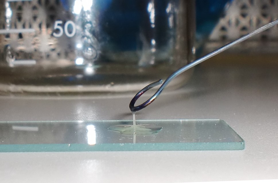 BIOLOGICAL CONTROL: IDENTIFIKASI BAKTERI MELALUI UJI BIOKIMIA