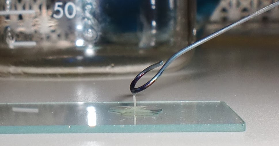 BIOLOGICAL CONTROL: IDENTIFIKASI BAKTERI MELALUI UJI BIOKIMIA