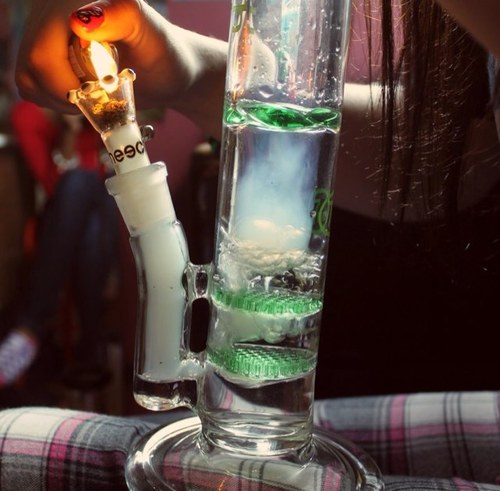 Marihuana Web - Información y consejos para producir marihuana y hachís ...