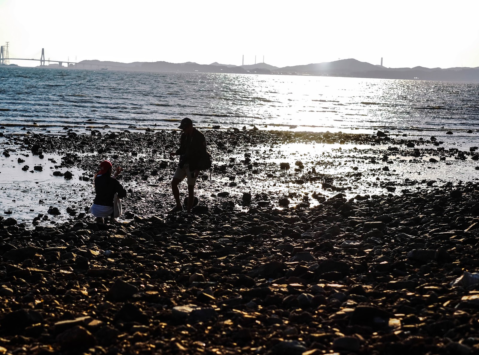 Daebu Island - The Gorgeous Natural Utopia | GGTour (Gyeonggi Tourism)