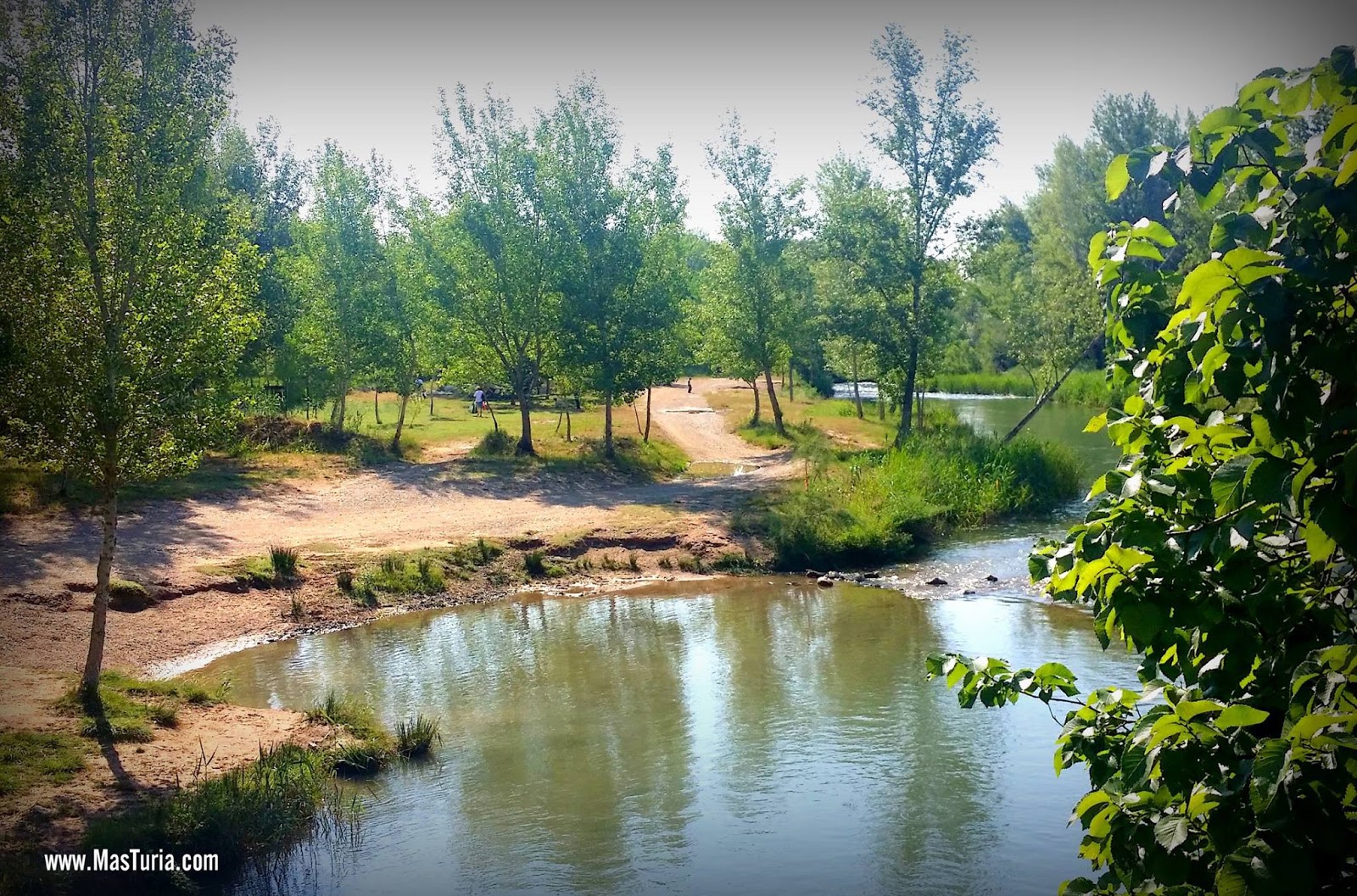 El Parque Natural del Turia en Pedralba, escenario del proyecto 'Life ...