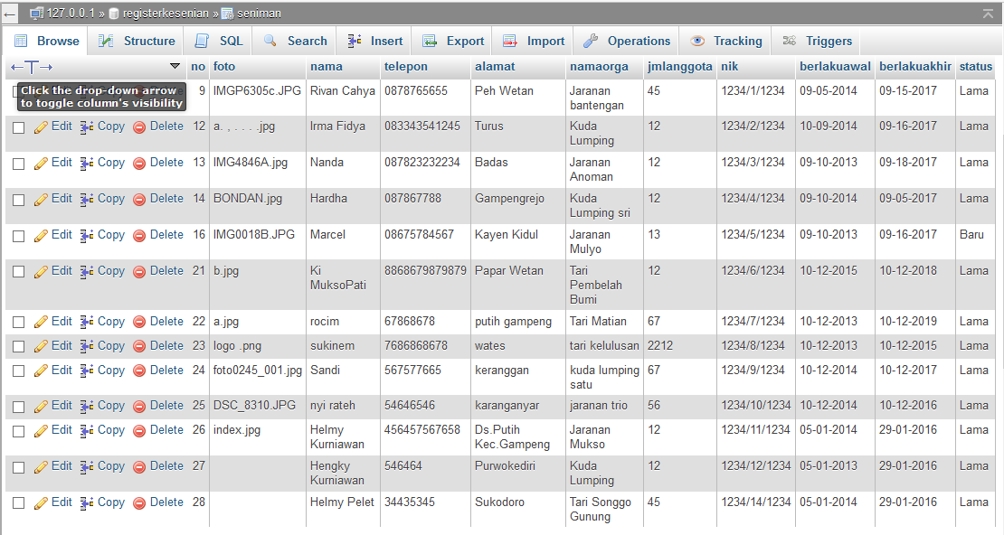 Membuat Diagram Lingkaran Database MySQL - Blog Orang IT
