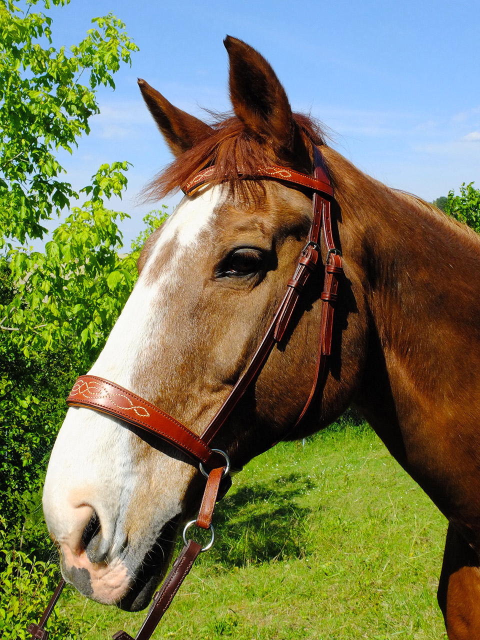 Sketches from the Saddlery - Leather items made in Italy: Embroidered ...