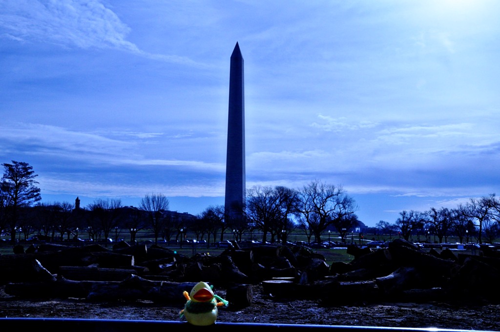 Quack Attack: Washington Monument