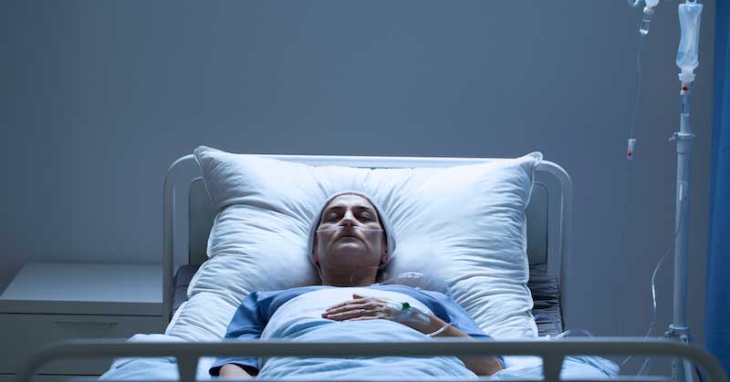 Nine Year Study Finally Explains The Relationship Between Sugar And ...