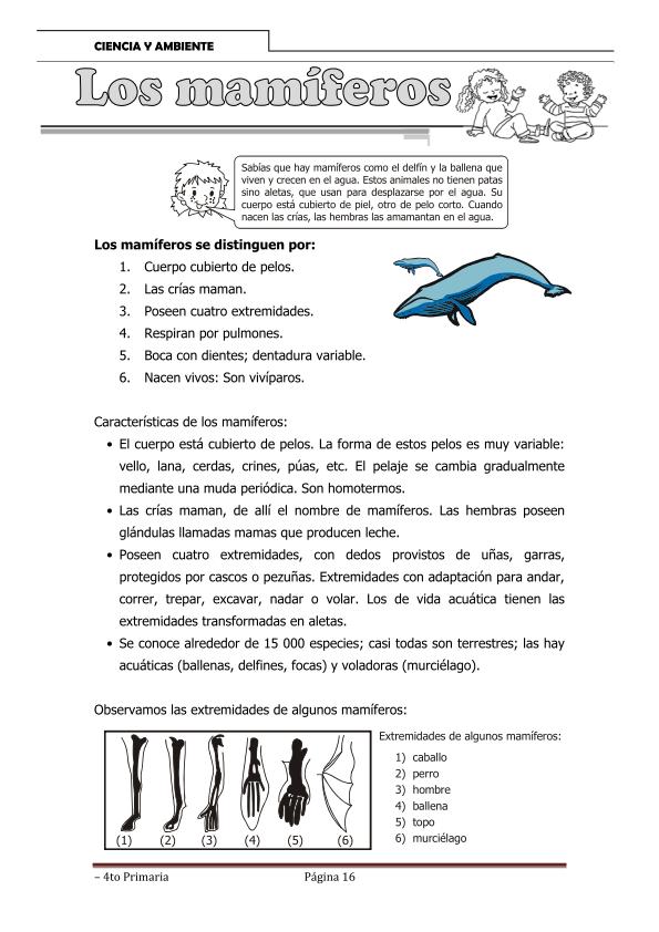 los mamiferos - Ciencia y ambiente 4to primaria
