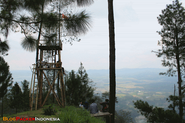 Menikmati Pesona Cemoro Sewu dan Gumuk Reco Sepakung - BlogPacker Indonesia